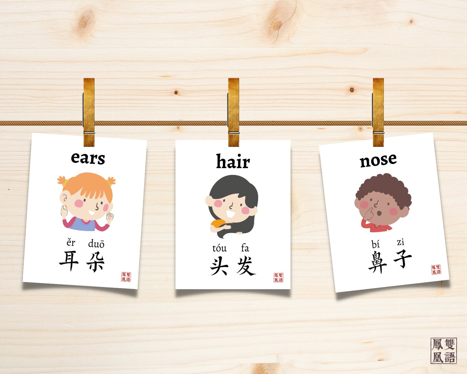 Body Parts Chinese Flashcards + Audio, Bilingual Mandarin Face Parts ...