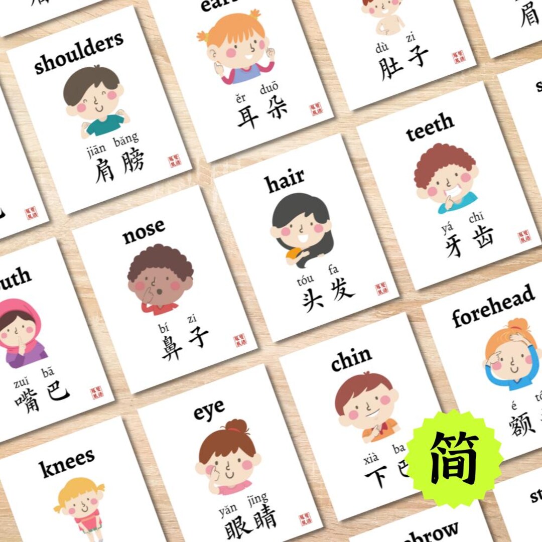 Body Parts Chinese Flashcards, Bilingual Mandarin Face Parts Flash ...