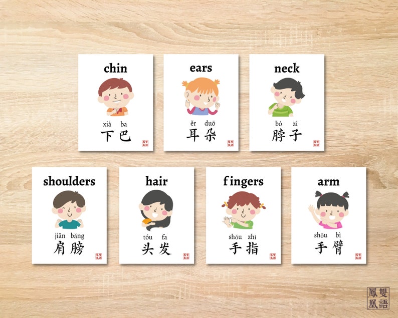 Body Parts Chinese Flashcards + Audio, Bilingual Mandarin Face Parts ...