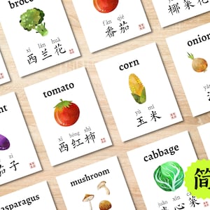 Vegetable Food Chinese Flashcards Kids Veggie Bilingual Cards ...