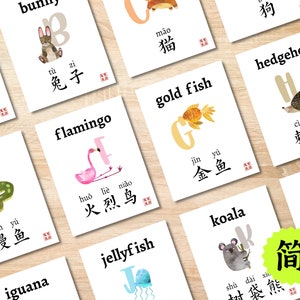 Chinese A to Z Animals Flashcards, Bilingual Simplified Mandarin Pinyin ...