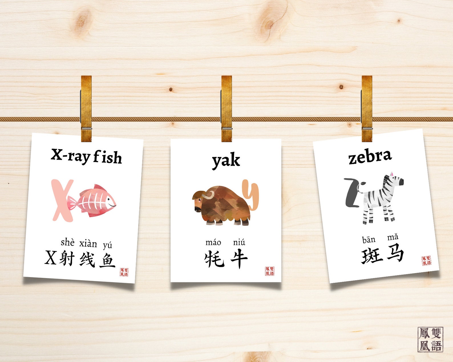 Chinese A to Z Animals Flashcards, Bilingual Simplified Mandarin Pinyin ...