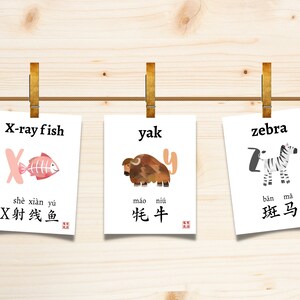 Chinese A to Z Animals Flashcards, Bilingual Simplified Mandarin Pinyin ...