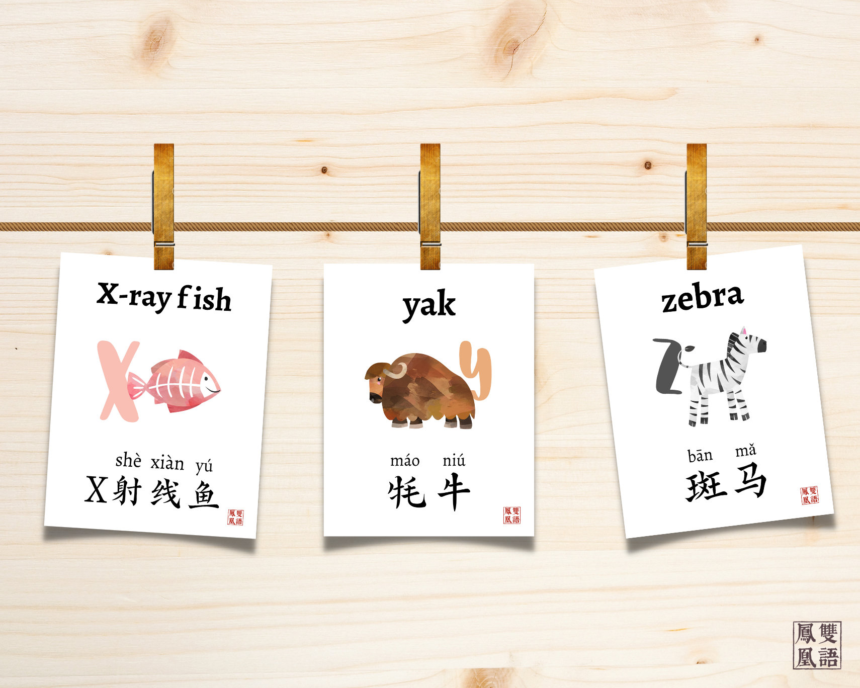 Chinese A to Z Animals Flashcards, Bilingual Simplified Mandarin Pinyin ...