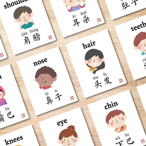 Body Parts Chinese Flash Cards Printable Mandarin Head Flash - Etsy Canada