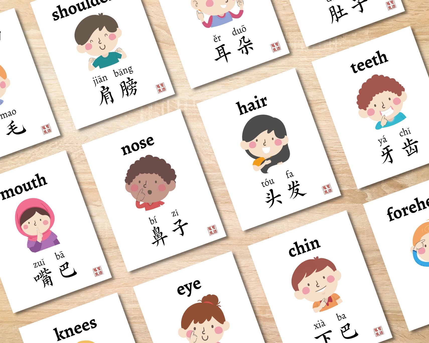 Body Parts Flashcards Chinese Face Parts Cards Kids Science - Etsy ...