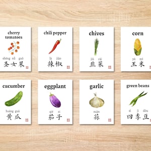 Vegetable Food Chinese Flashcards Kids Veggie Bilingual Cards ...