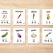 Vegetable Food Chinese Flashcards With Audio (digital Download ...