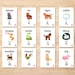 Chinese Zodiac Animals Signs Flashcards Kids Bilingual Cards Simplified ...