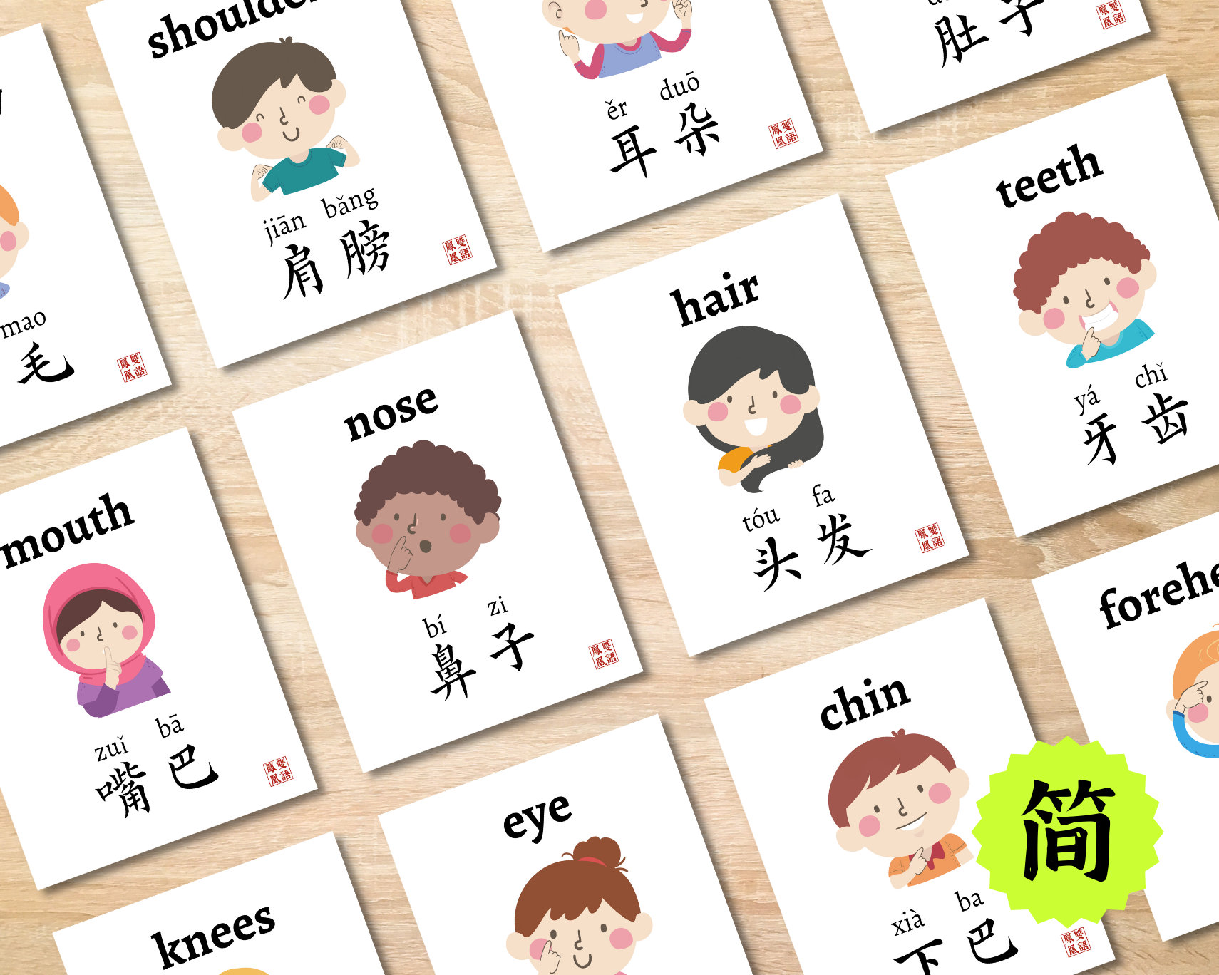 Body Parts Flashcards Chinese Face Parts Cards Kids Science Bilingual ...