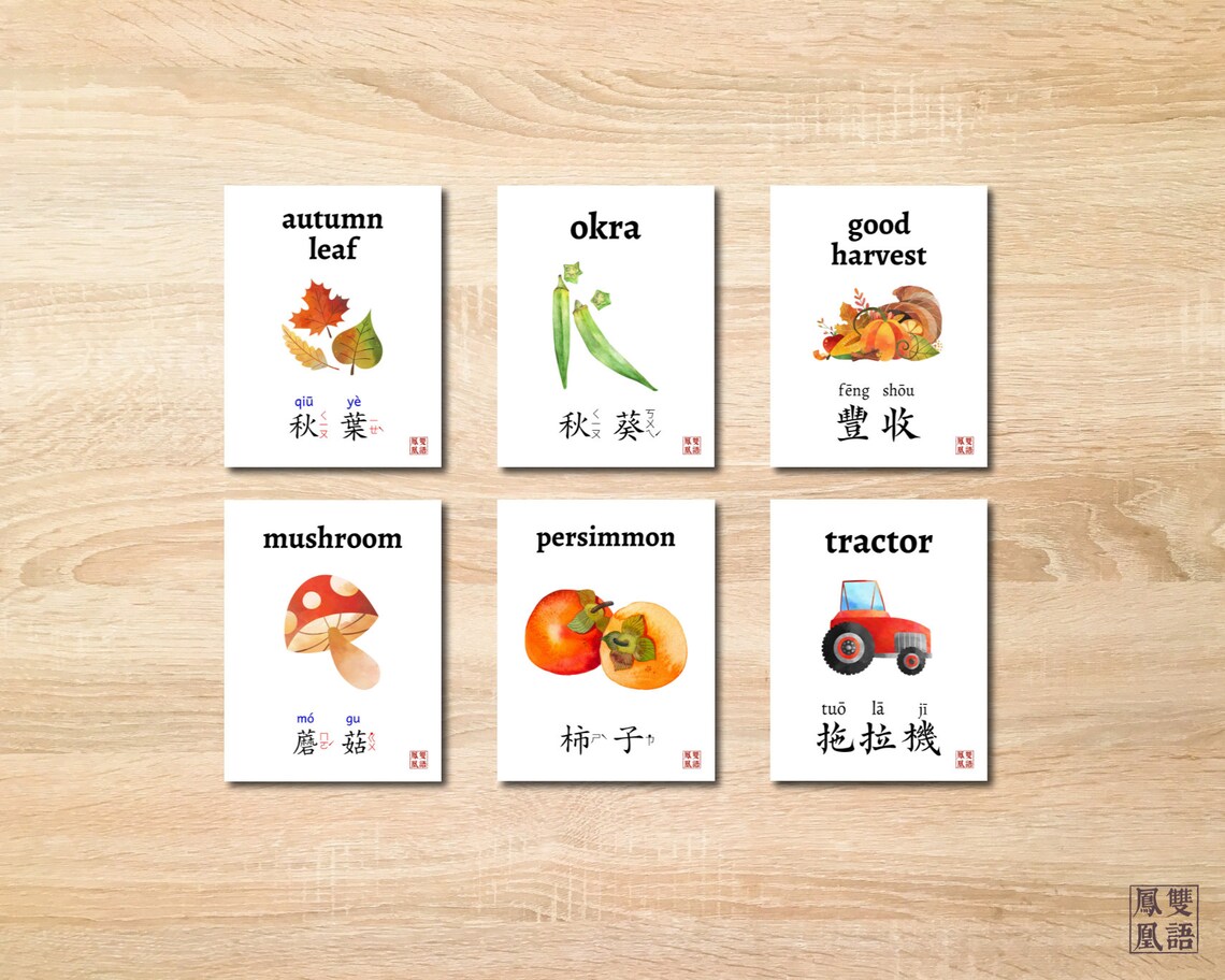 Traditional Chinese Autumn Flashcards, Bilingual Mandarin Seasons Cards ...