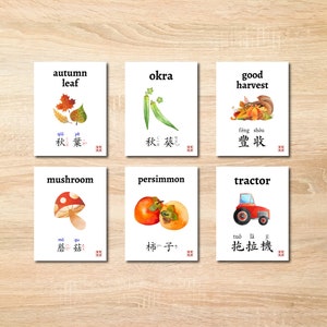 Traditional Chinese Autumn Flashcards, Bilingual Mandarin Seasons Cards ...