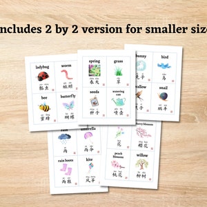 Simplified Chinese Spring Flashcards Bilingual Mandarin - Etsy