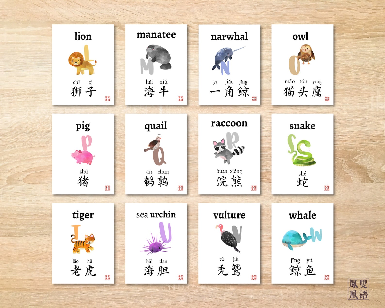 Chinese A to Z Animals Flashcards, Bilingual Simplified Mandarin Pinyin ...