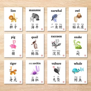 Chinese A to Z Animals Flashcards, Bilingual Simplified Mandarin Pinyin ...
