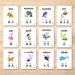 Chinese A to Z Animals Flashcards, Bilingual Simplified Mandarin Pinyin ...