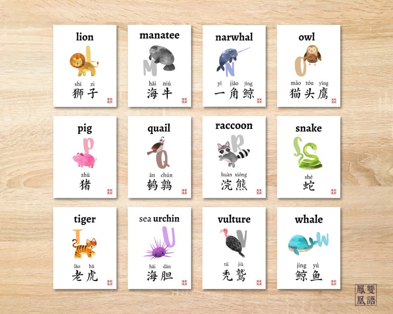 Chinese A to Z Animals Flashcards, Bilingual Simplified Mandarin Pinyin ...