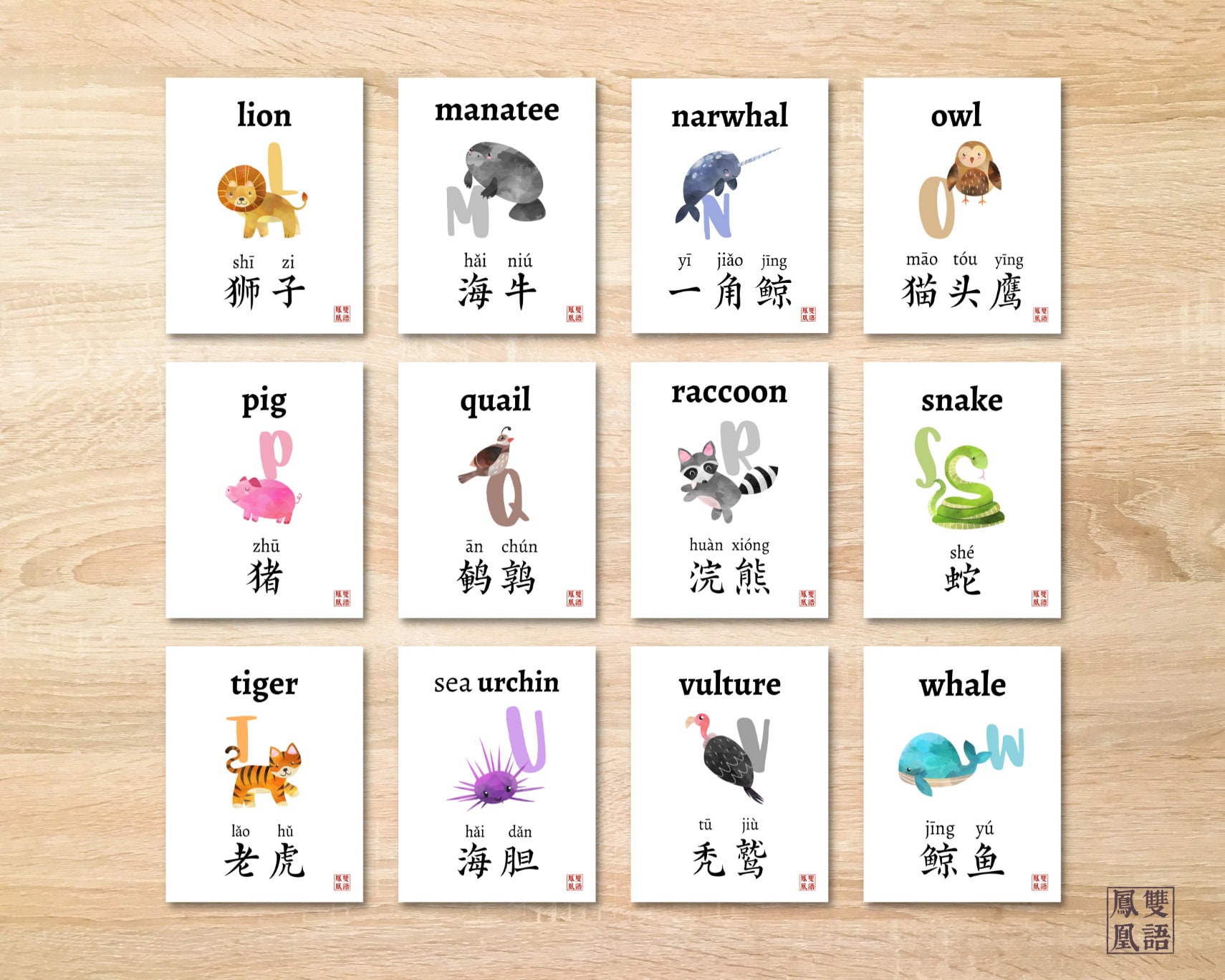 Chinese A to Z Animals Flashcards, Bilingual Simplified Mandarin Pinyin ...