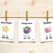 Tropical Exotic Fruits Chinese Flashcards, Food Bilingual Chinese Flash ...