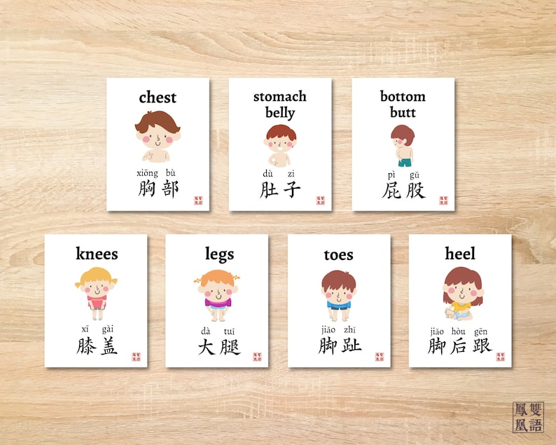 Chinese Body Parts Flashcards With Audio (digital Download), Bilingual ...