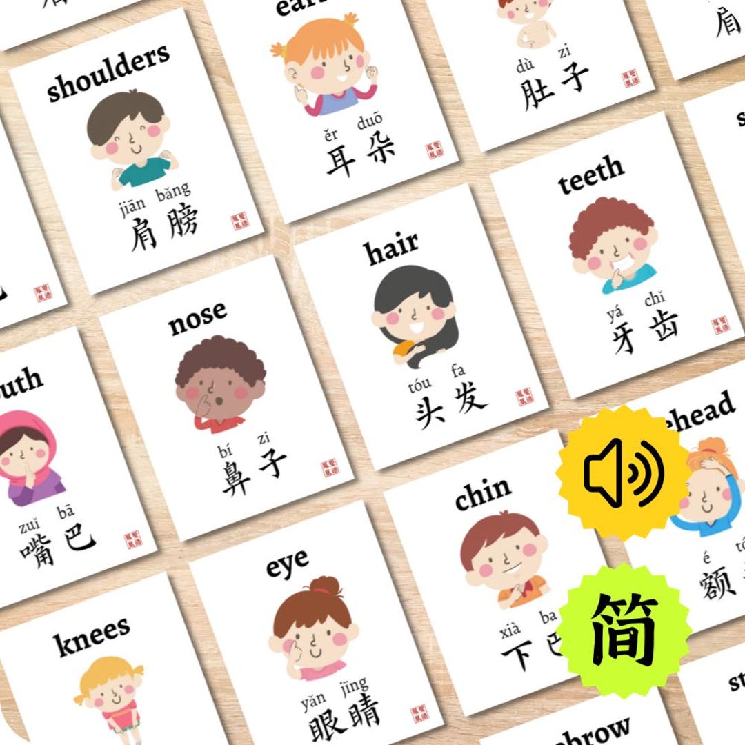 Chinese Body Parts Flashcards With Audio (digital Download), Bilingual ...