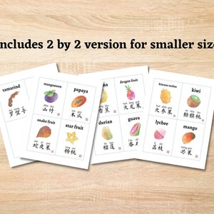 Tropical Exotic Fruits Chinese Flashcards, Food Bilingual Chinese Flash ...