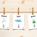 Simplified Chinese Spring Flashcards, Bilingual Mandarin Seasons Cards ...