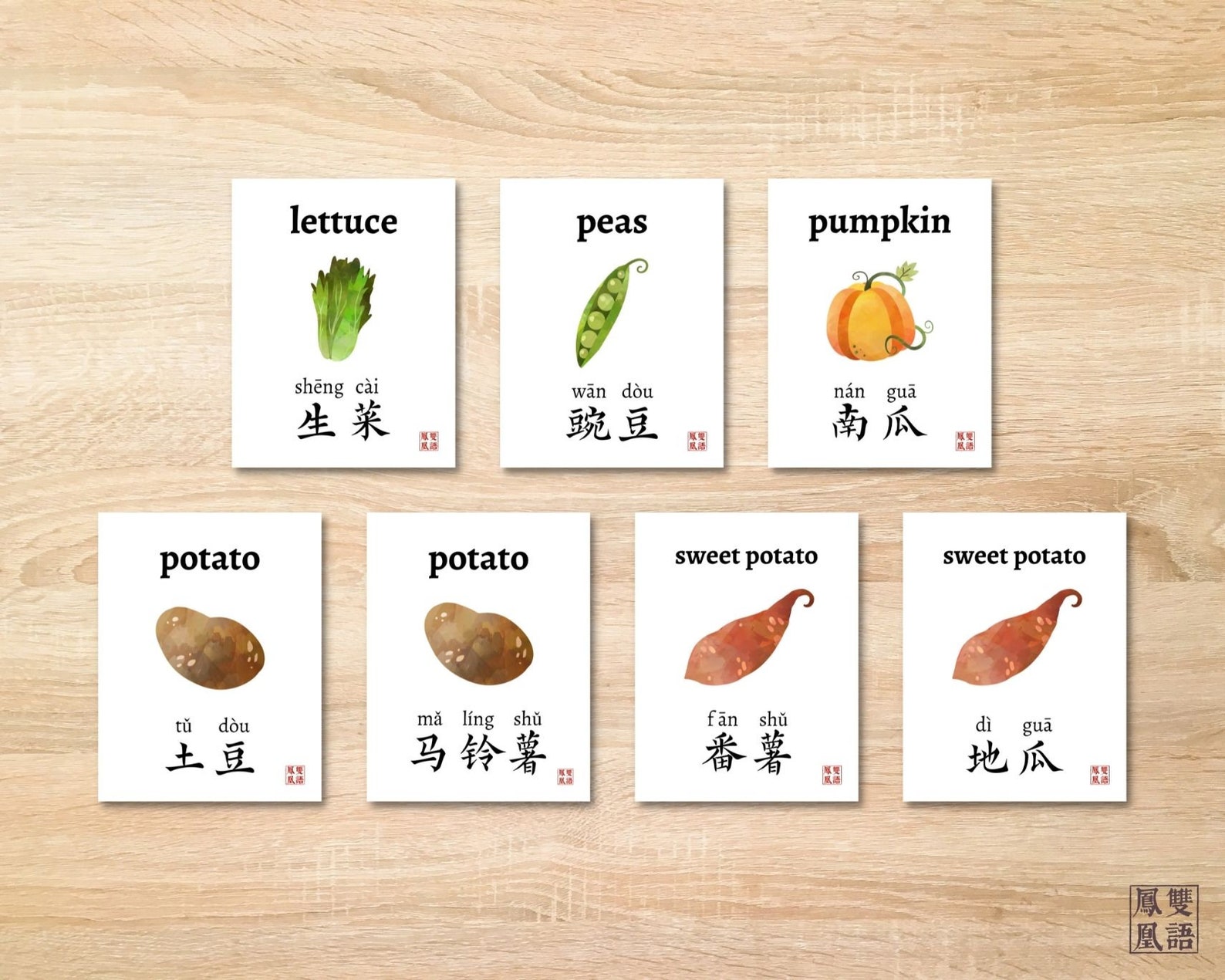 Vegetable Food Chinese Flashcards Kids Veggie Bilingual Cards ...