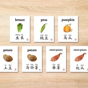 Vegetable Food Chinese Flashcards Kids Veggie Bilingual Cards ...