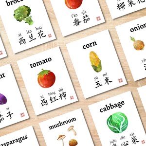 Vegetable Food Chinese Flashcards Kids Veggie Bilingual Cards - Etsy