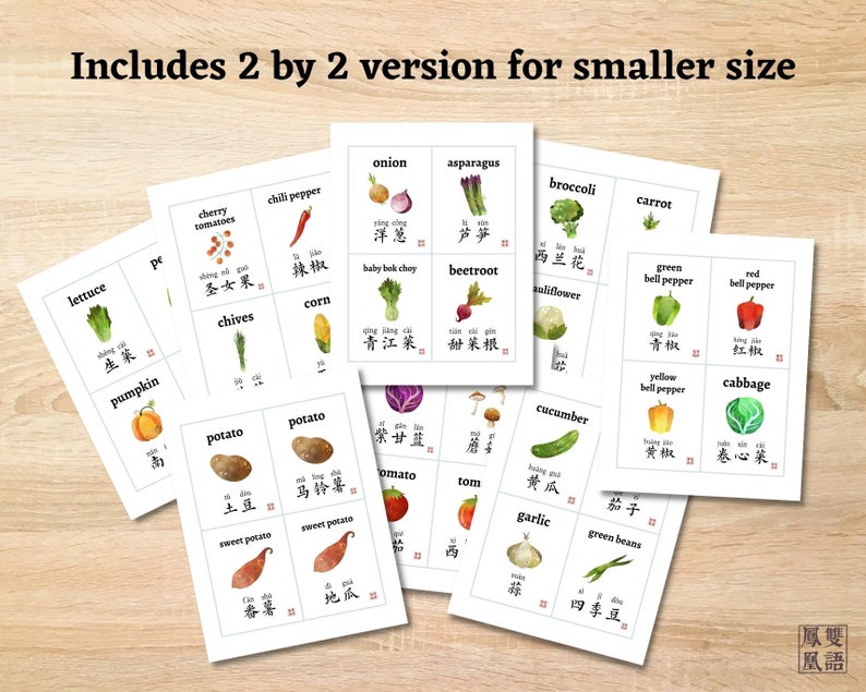 Vegetable Food Chinese Flashcards Kids Veggie Bilingual Cards ...