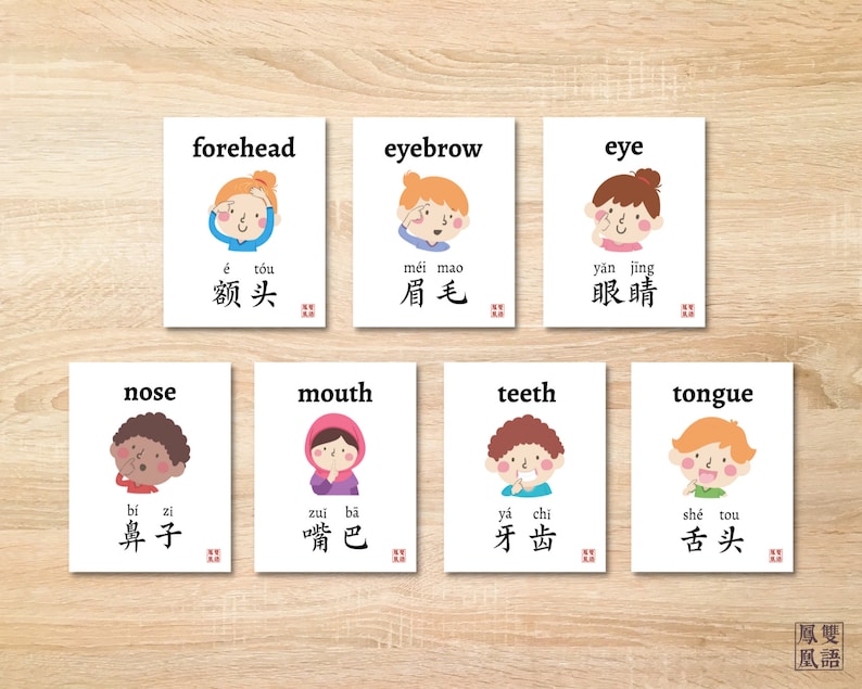 Body Parts Chinese Flashcards, Bilingual Mandarin Face Parts Flash ...
