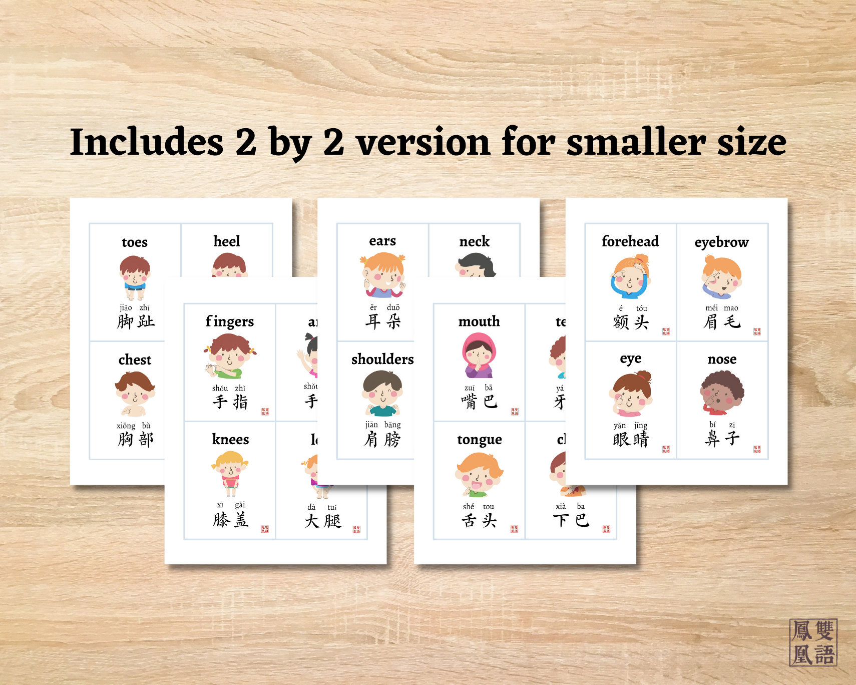 Chinese Body Parts Flashcards With Audio (digital Download), Bilingual ...