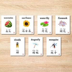 Summer Chinese Flashcards, Bilingual Simplified Chinese Seasons Flash ...