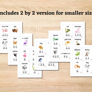 Chinese A to Z Animals Flashcards, Bilingual Simplified Mandarin Pinyin ...