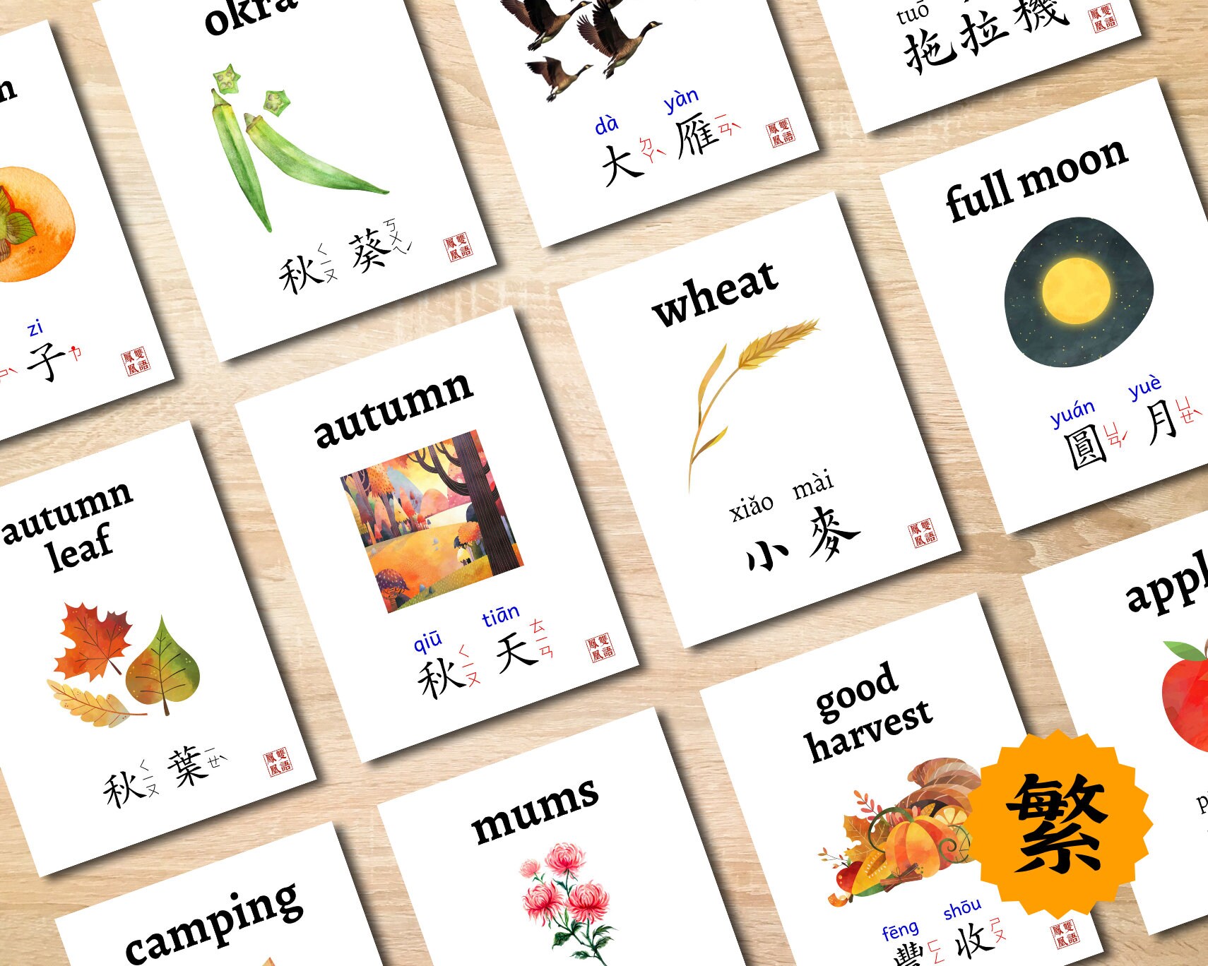 Traditional Chinese Autumn Flashcards, Bilingual Mandarin Seasons Cards ...