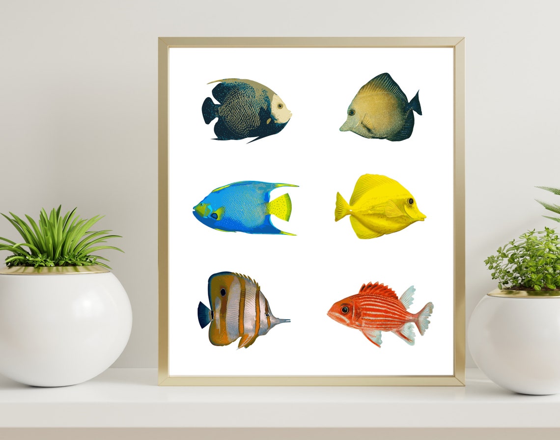 Poster Set of 6 Ocean Fishes Fish Wall Art Poster of Fish | Etsy