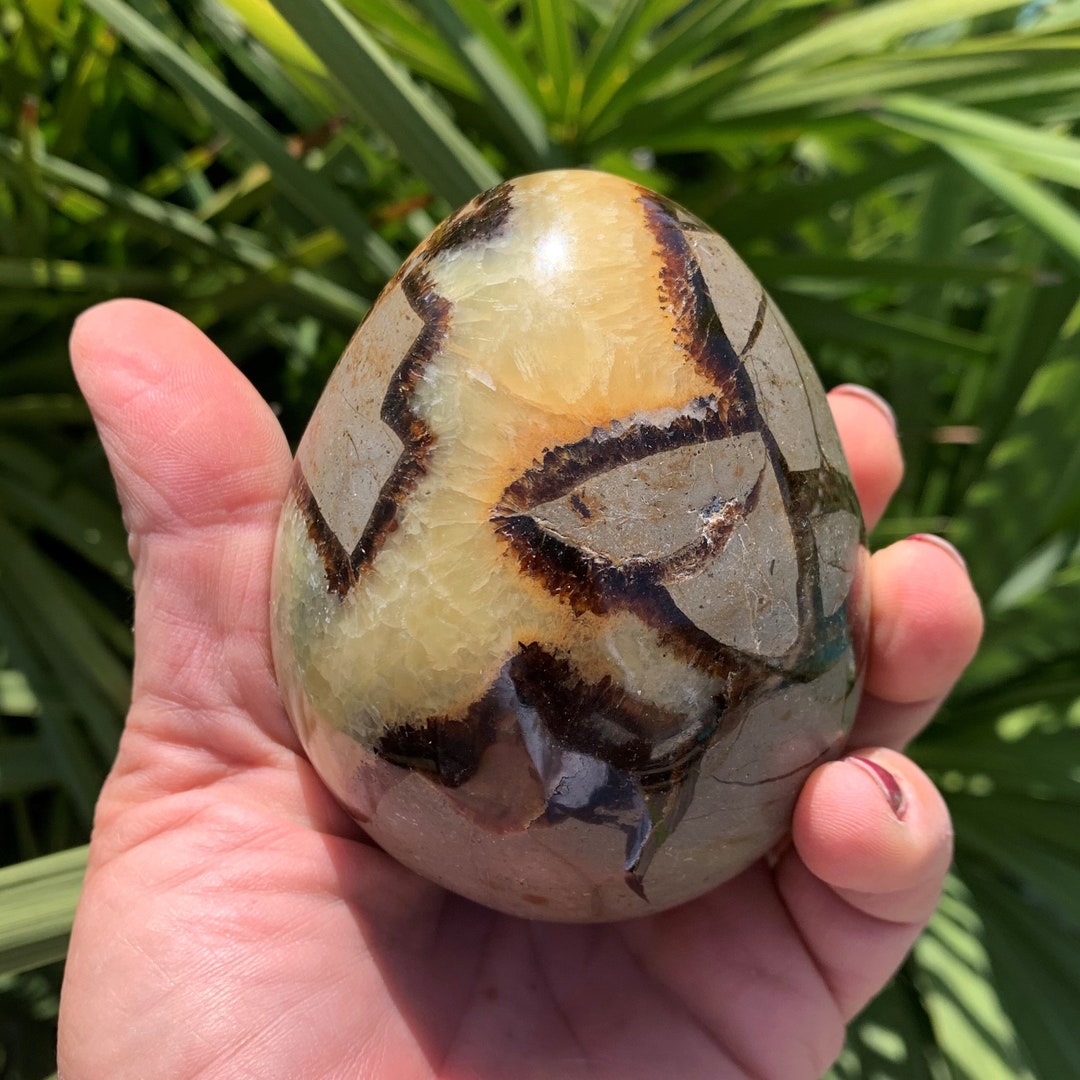 Septaria, Septaria Egg and Yellow Calcite, the Dragon Stone, Natural ...