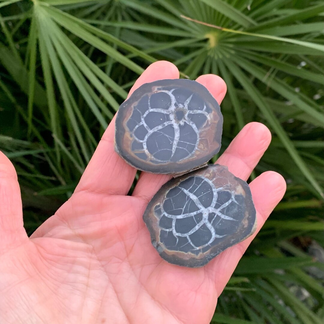 Septaria, Couple Gift, Septarian, Septaria Nodule, Dragon Stone ...