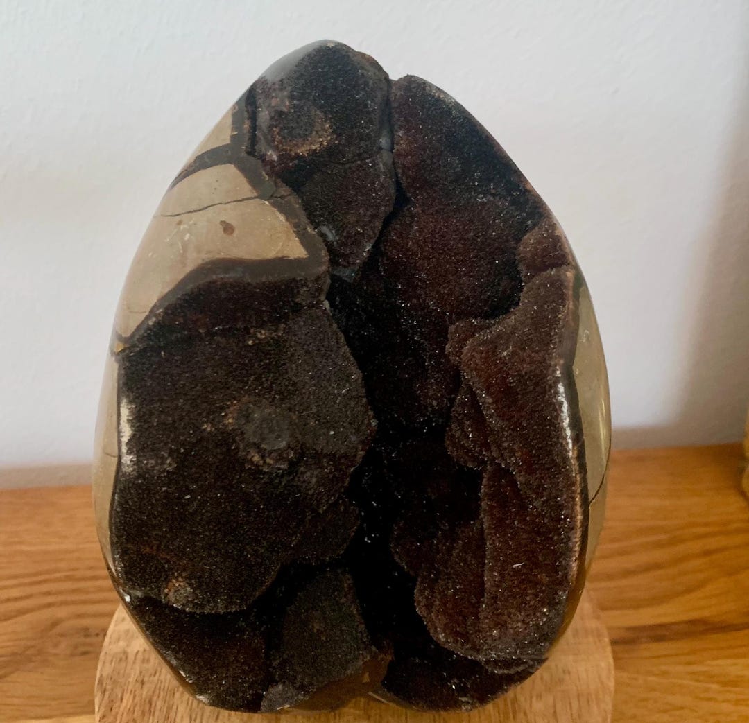 Wild Septaria, Dragon Stone, Septarian, Natural Stone, Grounding, Home ...