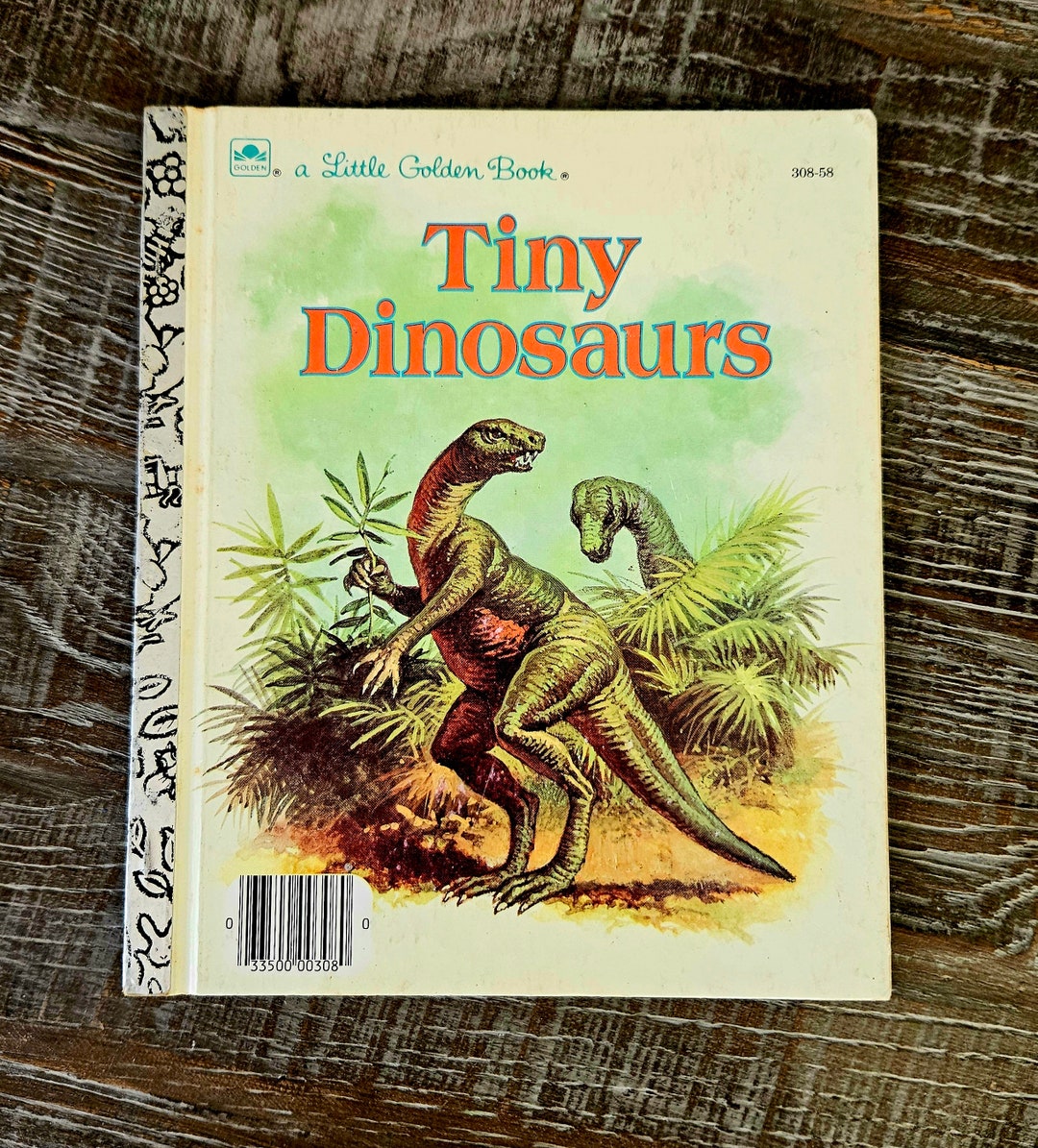 Rare. Tiny Dinosaurs, 1988. Hard Cover Little Golden Book. - Etsy