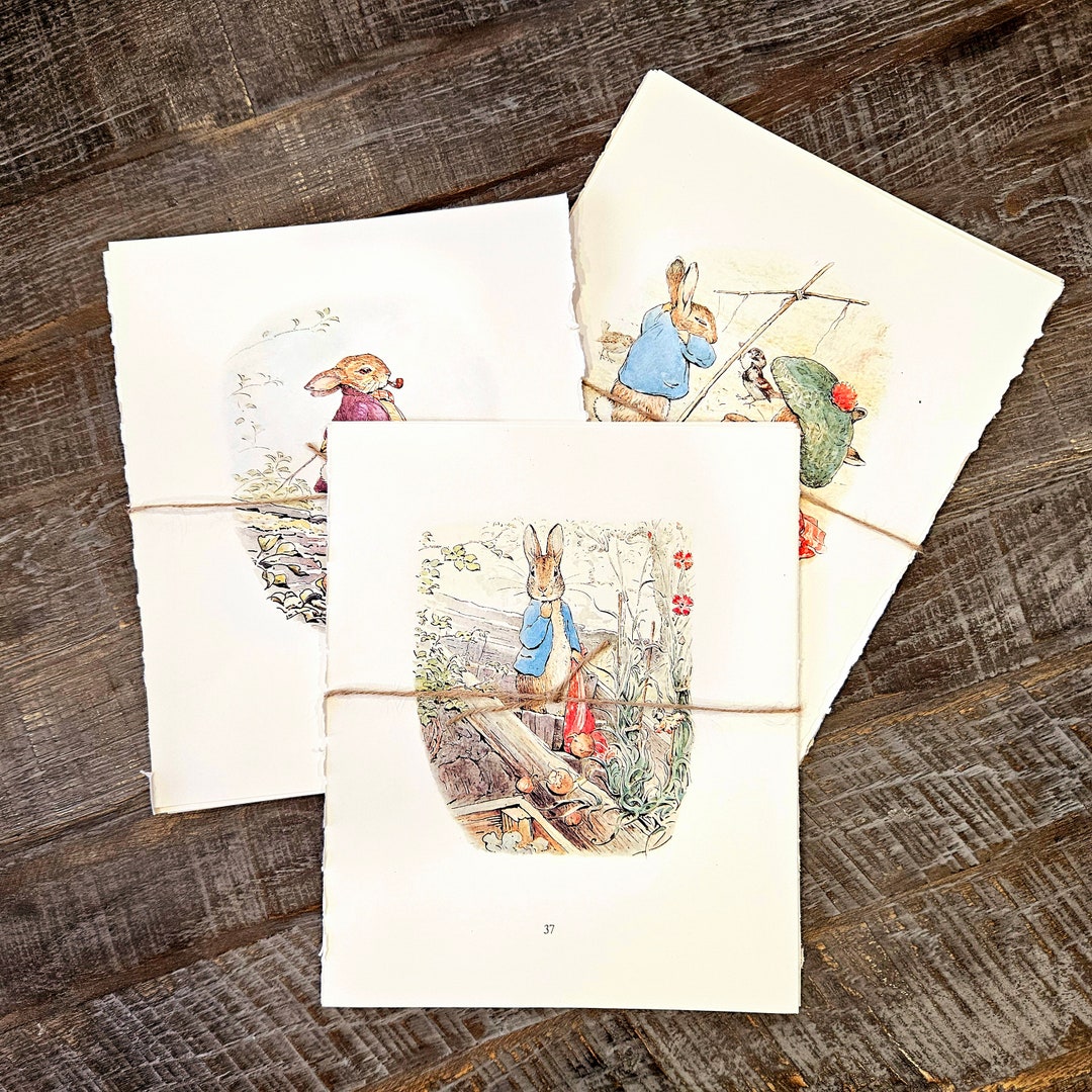 10x Peter Rabbit and Friends Book Pages. Full Page Ephemera for Junk ...