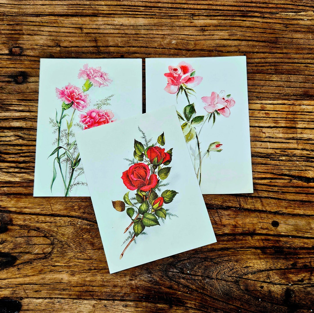 Floral Note Cards. Vintage Stationary Set With Envelopes. Set of 6. - Etsy