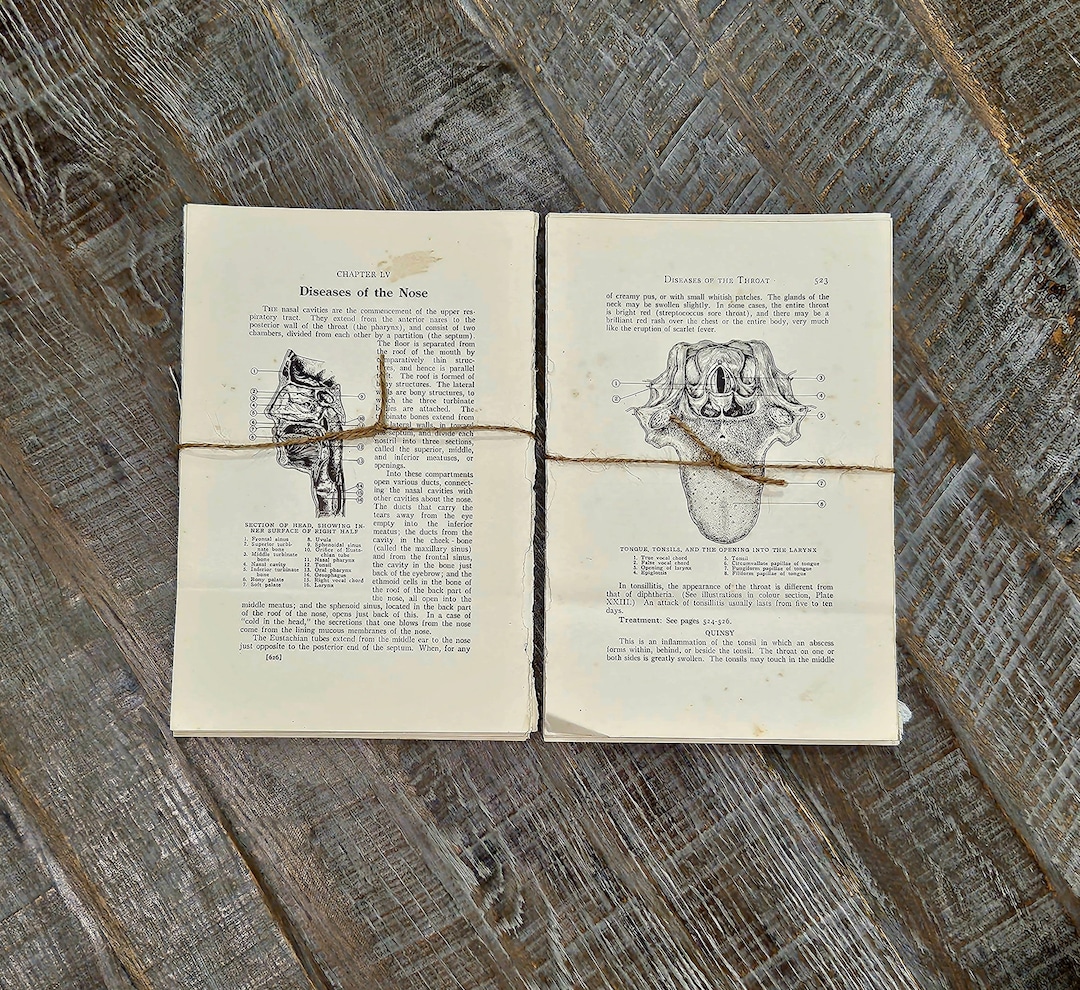 1920s Vintage Medical Images for Junk Journal, Scrapbooking, Mixed ...
