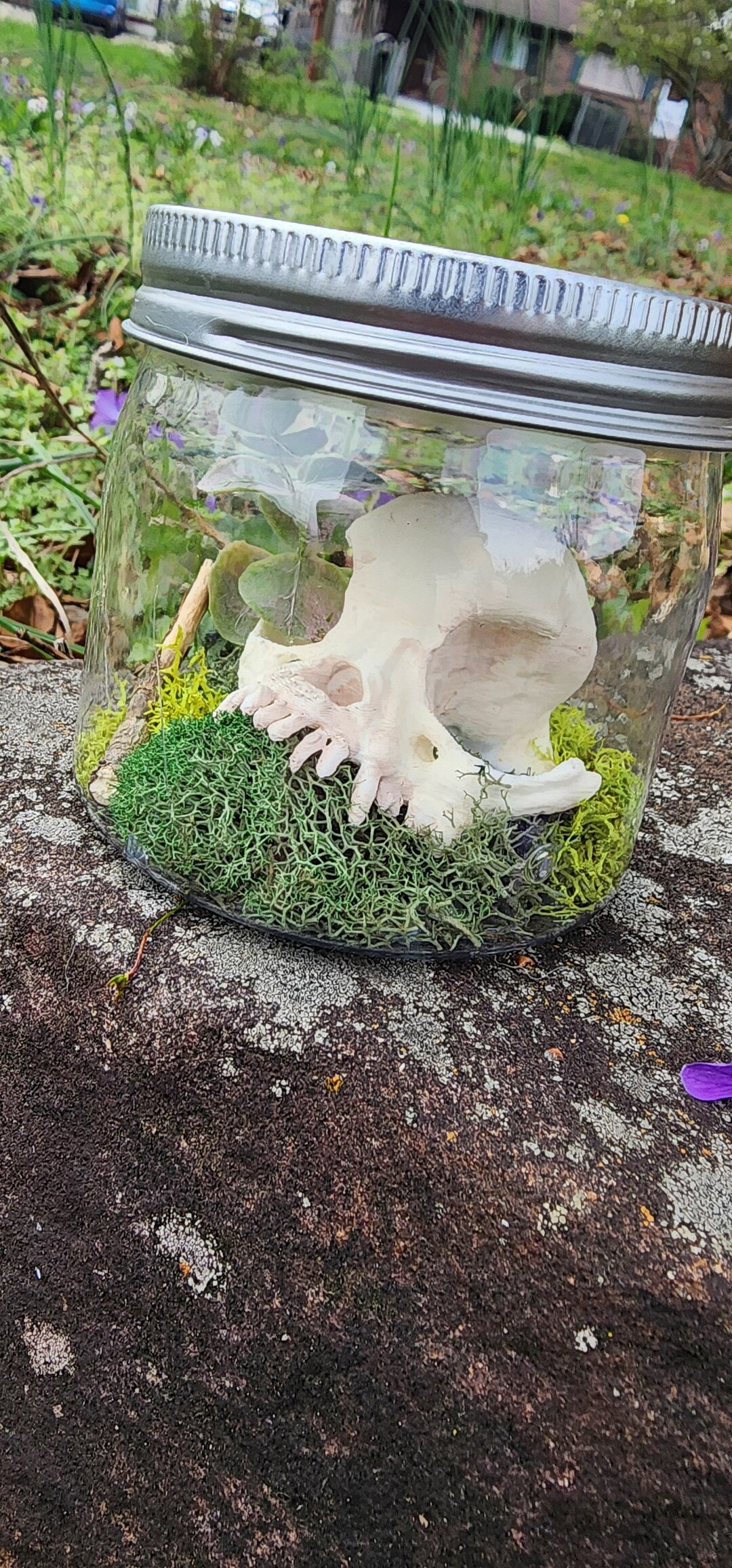 3d Printed Pug Skull - Etsy