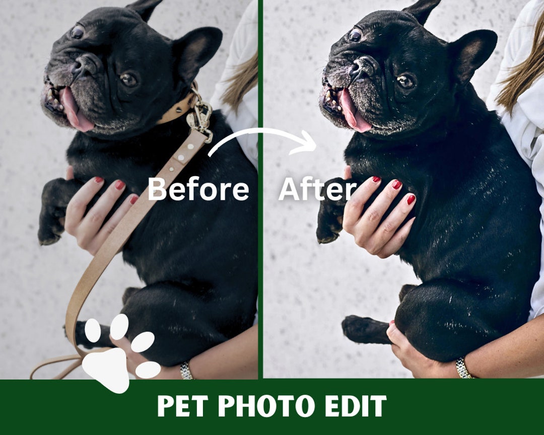 Photoshop Pets, Photoshop Dog, Pet Photo Retouch, Pet Photo Editing ...