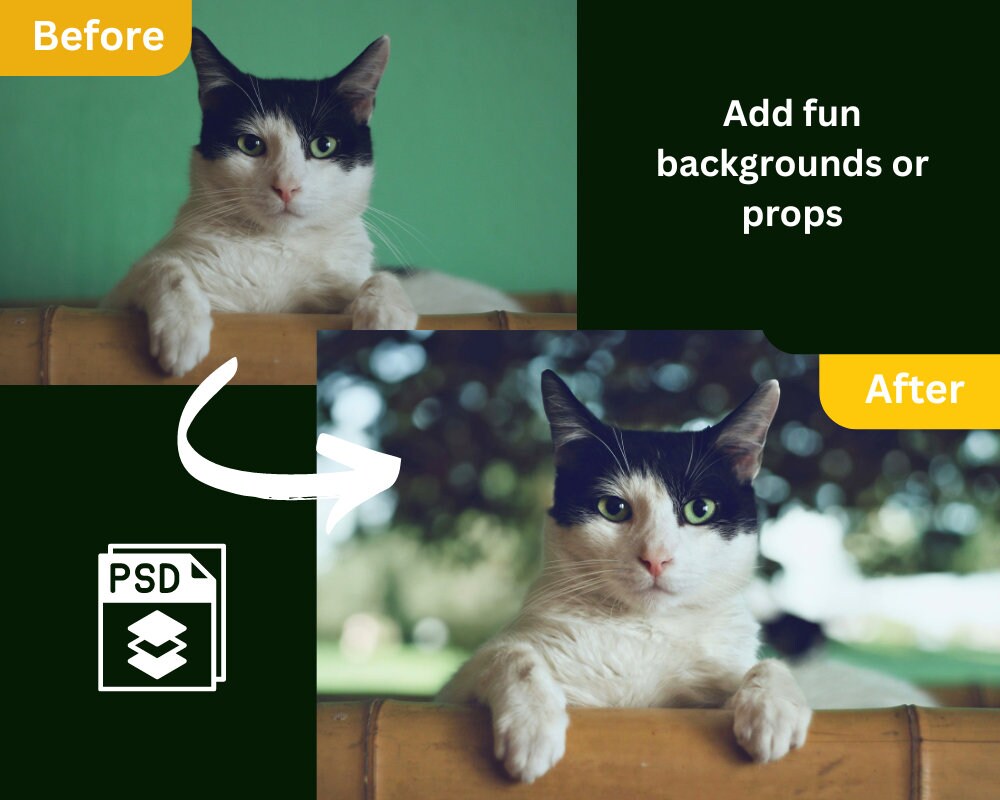 Photoshop Pets, Photoshop Dog, Pet Photo Retouch, Pet Photo Editing ...