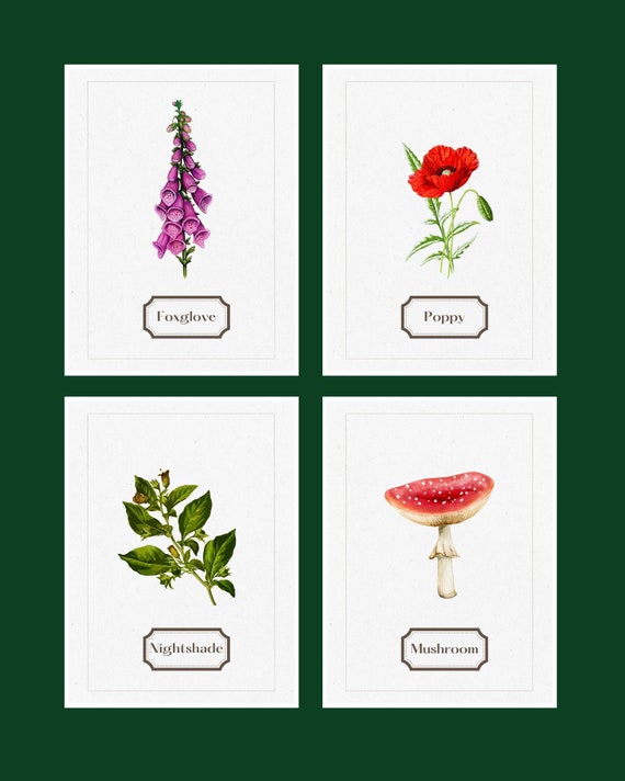 Poisonous Plants Digital Download Botanical Illustration | Etsy