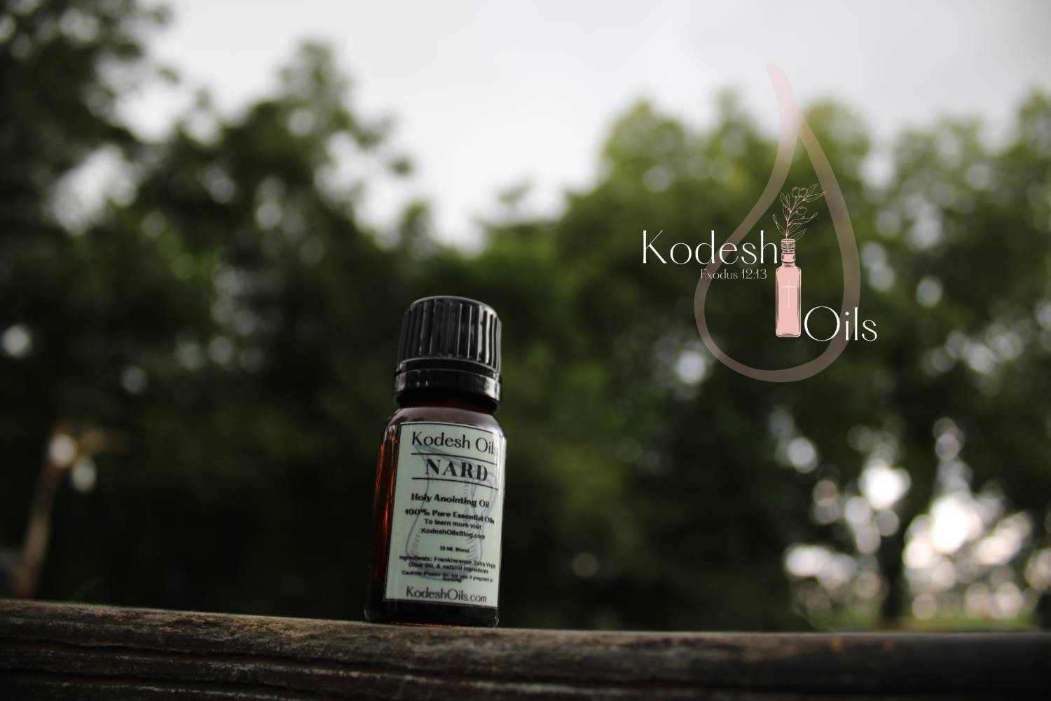 Spikenard Nard Anointing Oil 10 Ml Orifice Reducer - Etsy