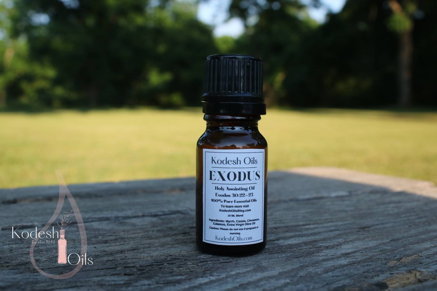 Exodus Anointing Oil 10 Ml Orifice Reducer Bottle Made With 100% ...